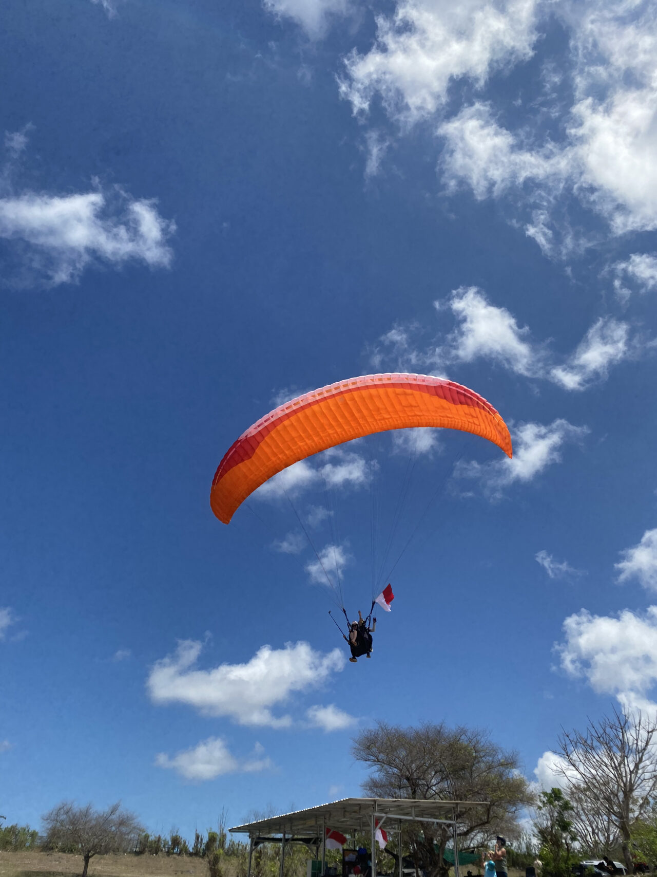 Panda Paragliding Site